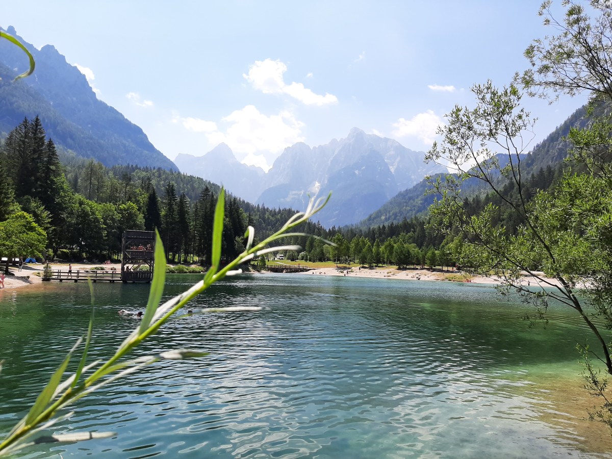 7.000 Euro Dividenden in 2022 u. Smeil Award – Finanzjongleur